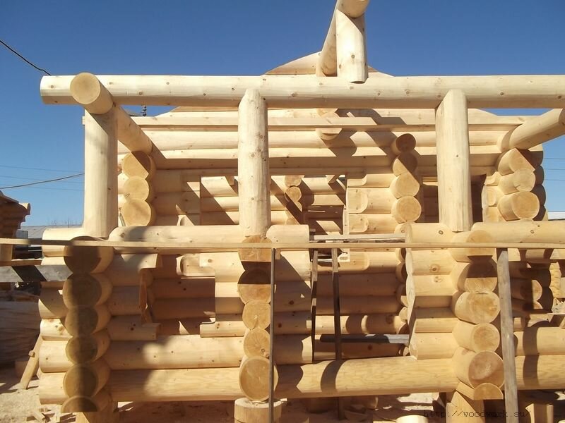 Kerestecilik Kedr, Krasnoyarsk, foto