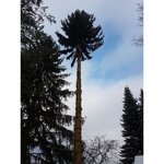 Garten- und Landschaftsbau Glf Inh. Marin Tanase (Weiherweg No:6, Fulda, Petersberg), peyzaj tasarımı  Hesse'den