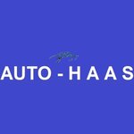 Auto-Haas Inh. Mathias Kepler (Hesse, Wiesbaden, 7), oto kaporta  Wiesbaden'den