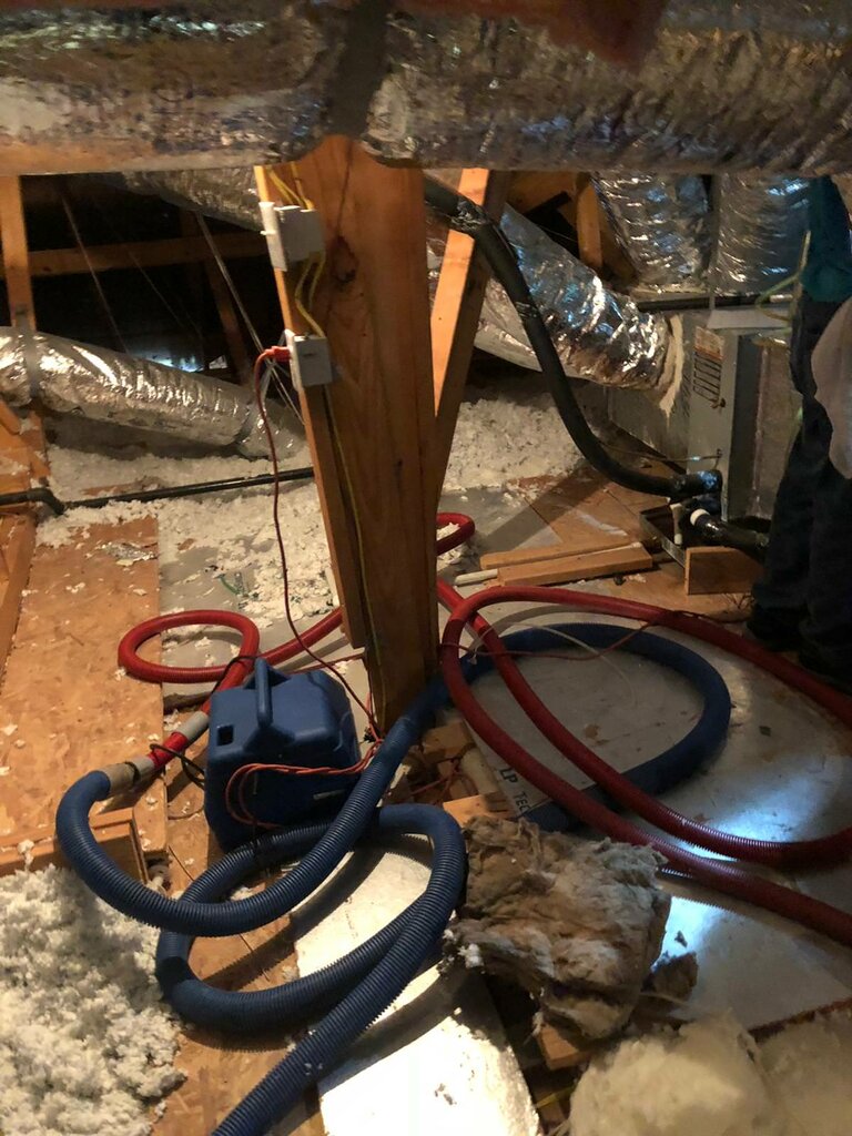 Halı yıkamacılar Clean Air Houston Pro, Houston, foto