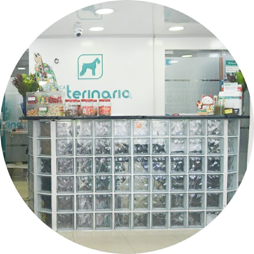 Veteriner klinikleri Vets Santa isabel, Bogota, foto