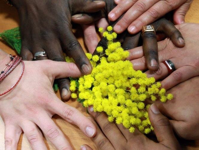 Ortaokul Centro Educativo Imparando La Vita, Campania, foto