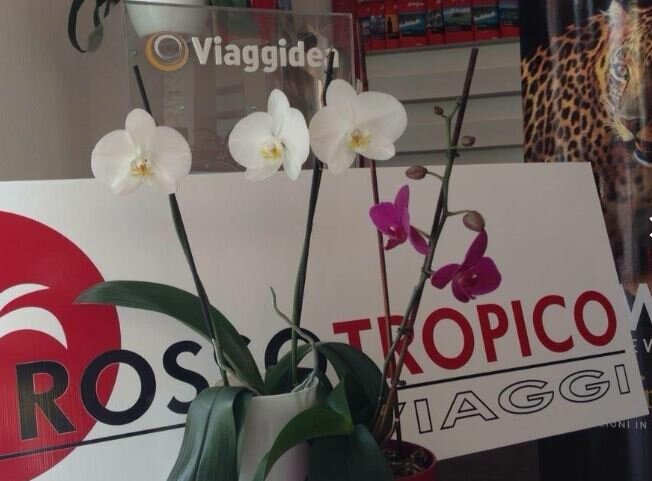 Seyahat acenteleri Rosso Tropico Viaggi, Lombardiya, foto
