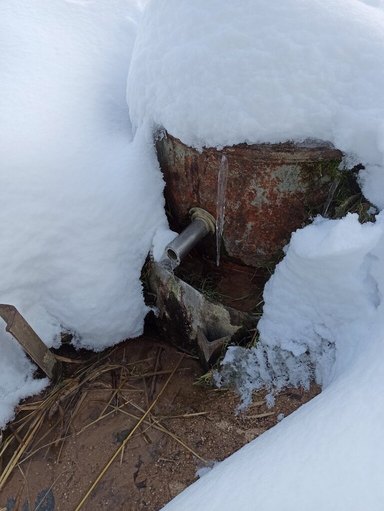 Pınar, çay Spring, stream, Moskova ve Moskovskaya oblastı, foto
