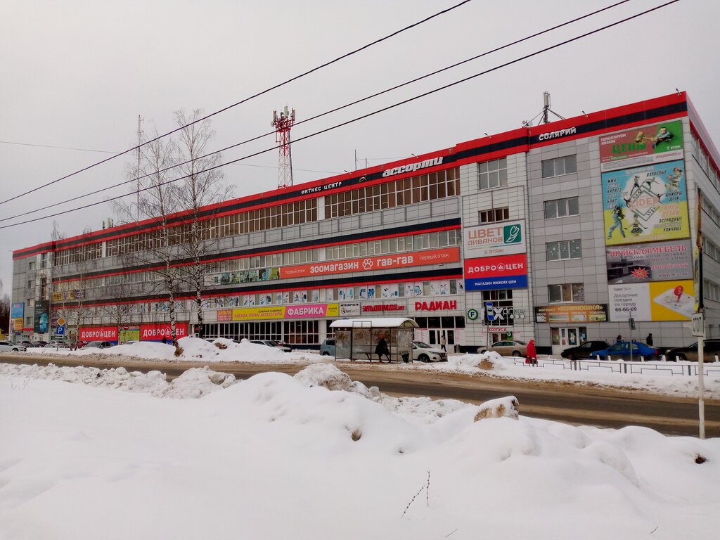 Otomobil yedek parçaları Автосила37, Şuya, foto