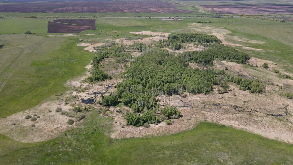 Doğa Ландшафтно-ботанический памятник природы Урочище Гнилые лозки, Orenburgskaya oblastı, foto