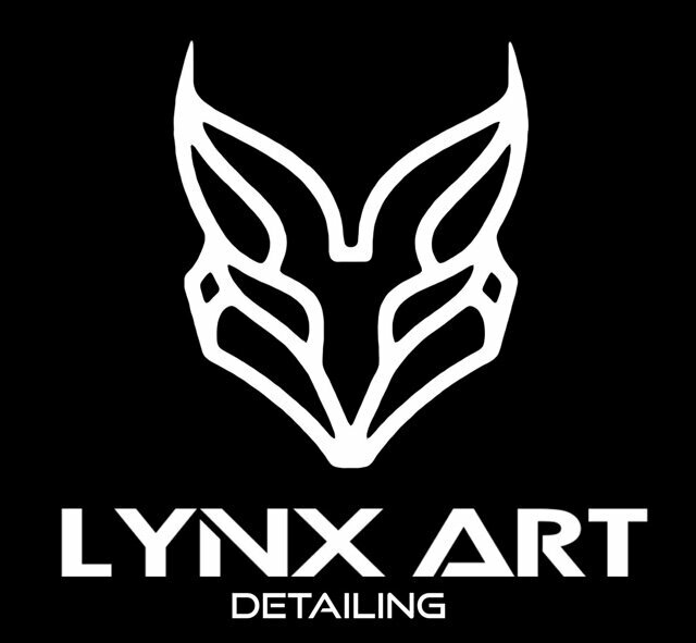 Detaylı oto bakımı LynxArt, Vologda, foto