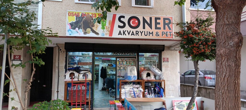 Balık çiftçiliği ve toptancıları Birsu Akvaryum, Ankara, foto