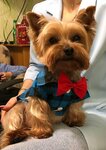 Живой уголок (Pogranichnaya ulitsa No:1к2), veteriner klinikleri  Elizovo'dan