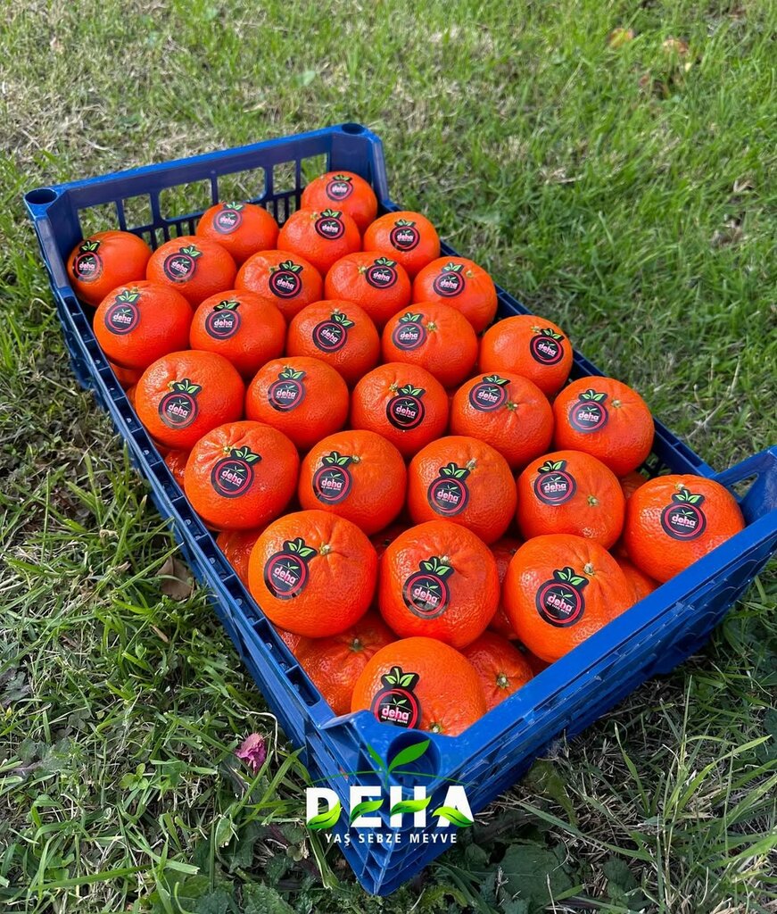 Gübre firmaları Deha Tarım, İzmir, foto