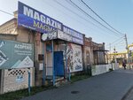 Magazin Magma (ulitsa Sadovyanu No:17, municipiul Bălţi), yapı mağazası  Beltsi'den
