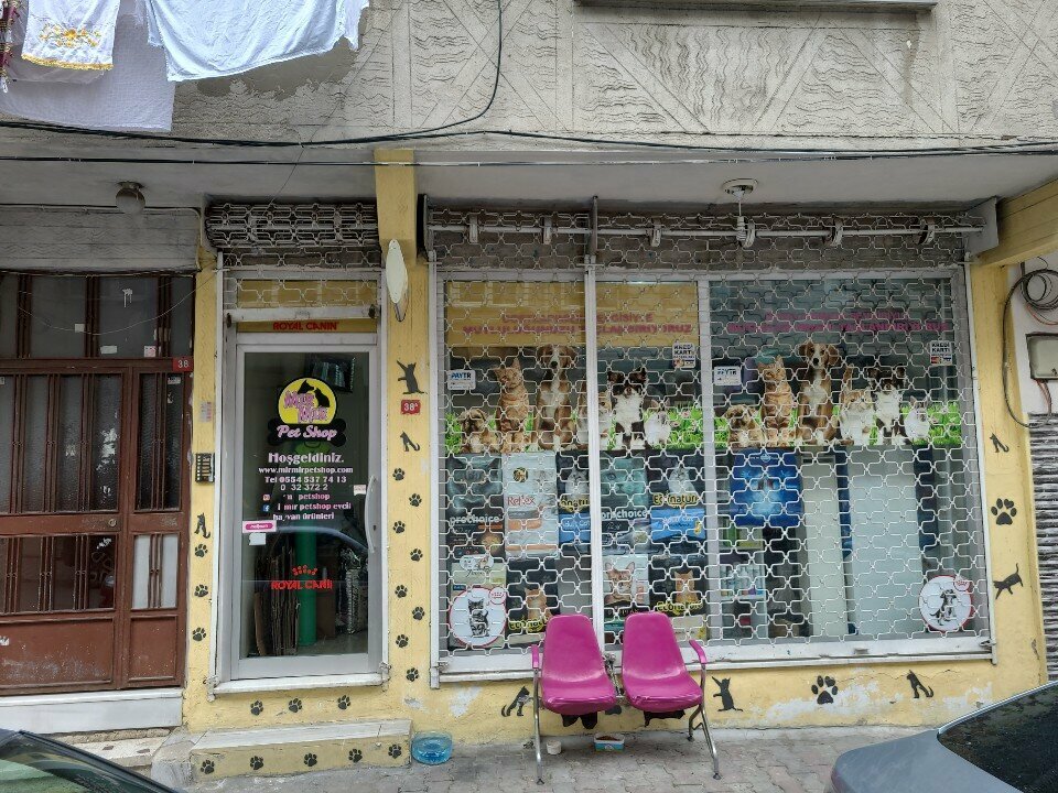 Petshop Mır Mır Petshop, İstanbul, foto