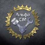 AlfaSM (Rogachyovskoye shosse No:1, derevnya Abbakumovo), özel tekniklerin onarımı  Moskova ve Moskovskaya oblastından
