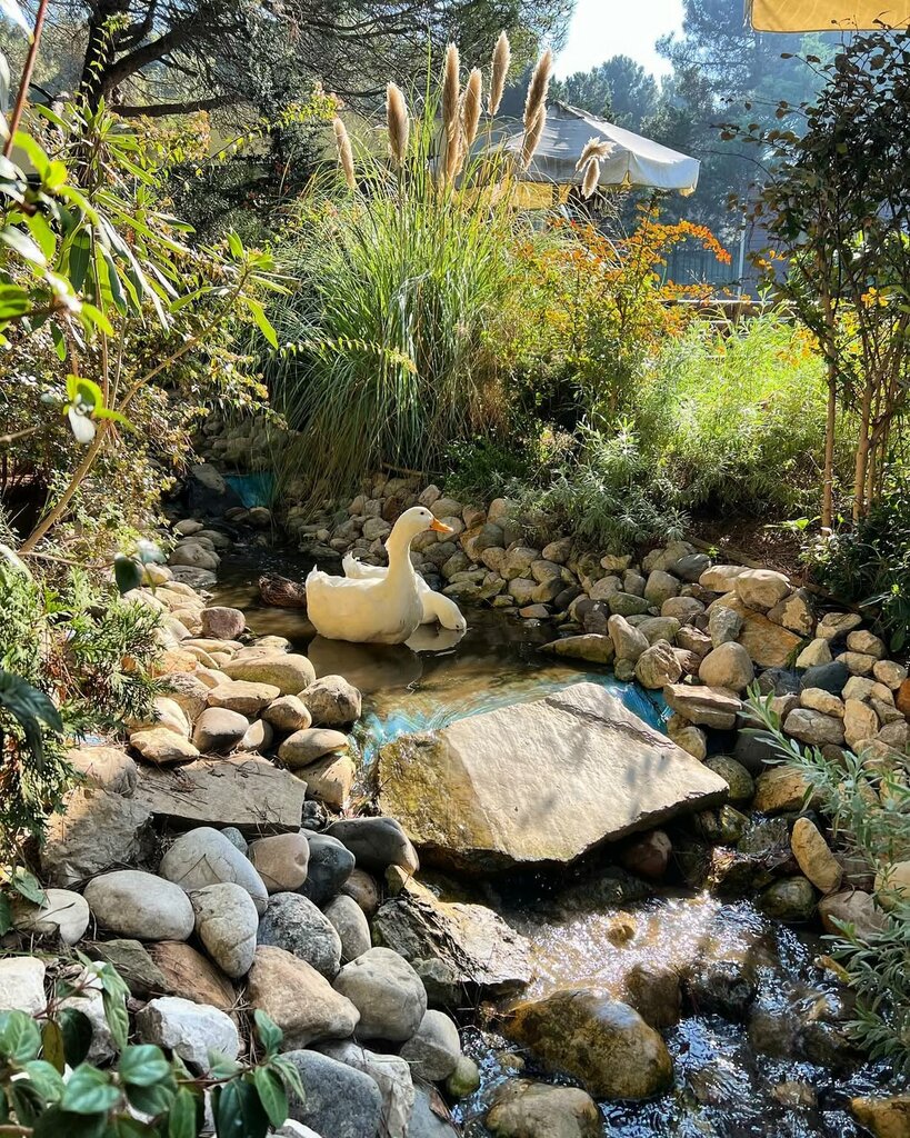 Restoran Park Lotus, İstanbul, foto