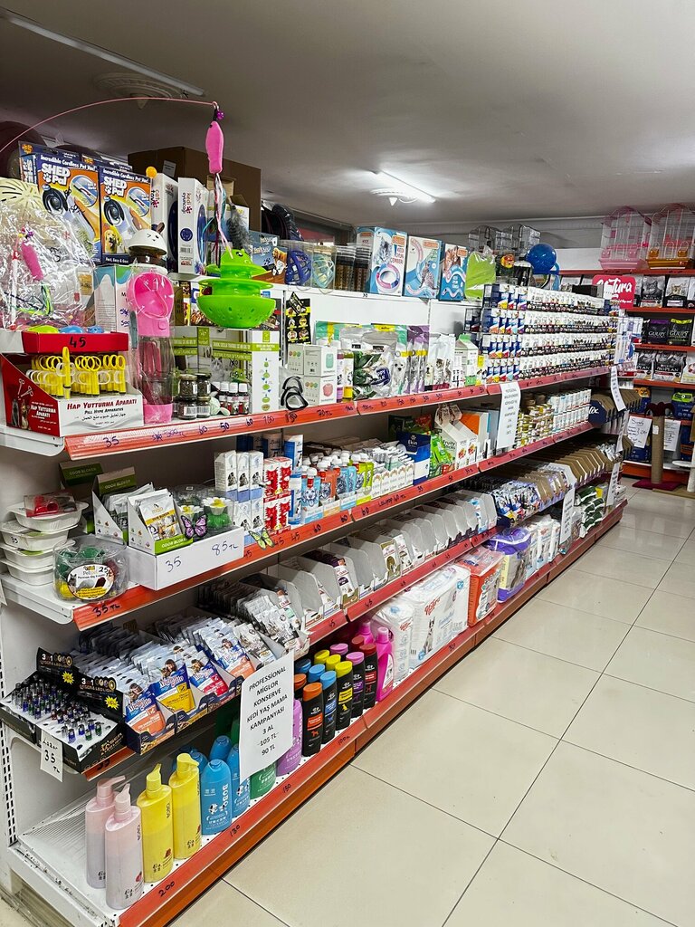 Petshop Ekin Pet, İstanbul, foto