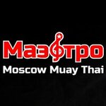Маэстро (Luzhniki Street No:24с10), spor kulüpleri  Moskova'dan