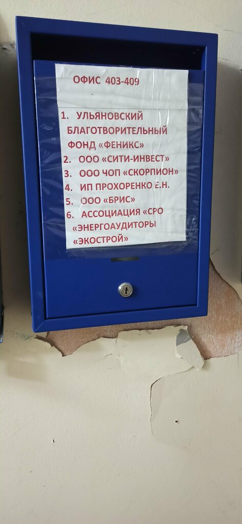 Yardım kuruluşları Phoenix, Ulyanovsk, foto