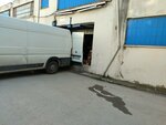 Akçalar Yumurta (Veysel Karani Mah., Vize Sok., No:24, Osmangazi, Bursa), kümes hayvanları çiftliği  Bursa'dan