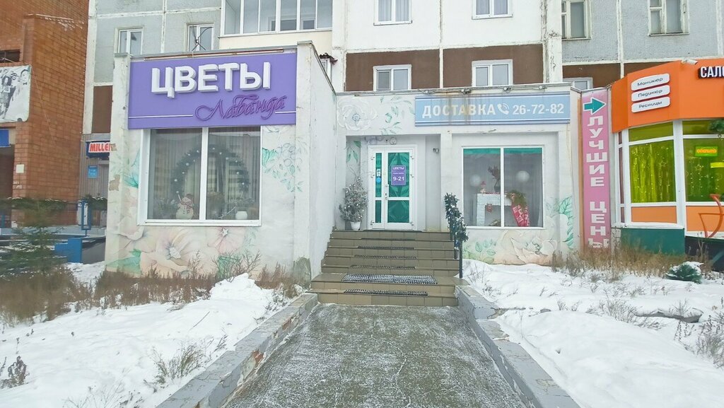 Çiçekçiler Лаванда, Bratsk, foto