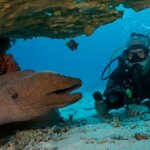 Barakuda Brothers Diving Center (Marmaris Körfezi), dalış kulüpleri ve eğitim merkezleri  Dünya'dan