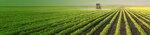 Arab Authority for Agricultural Investment and Development (Al Nouf Tower, Port Saeed, Deira, Dubai), yatırım fonu firmaları  Dubai'den