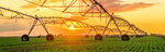 Al Ain Automatic Irrigation (3/6, 10A Street, Al Qusais Ind. Second, Deira, Dubai), yönetim ofisi  Dubai'den