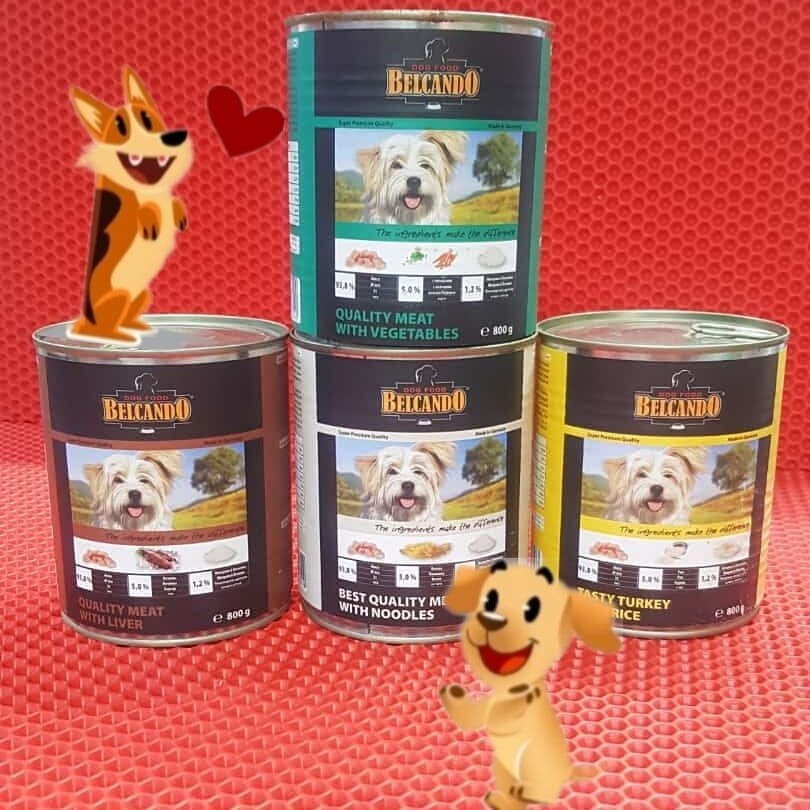 Petshop ZooProhvost, Öskemen (Ust‑Kamenogorsk), foto