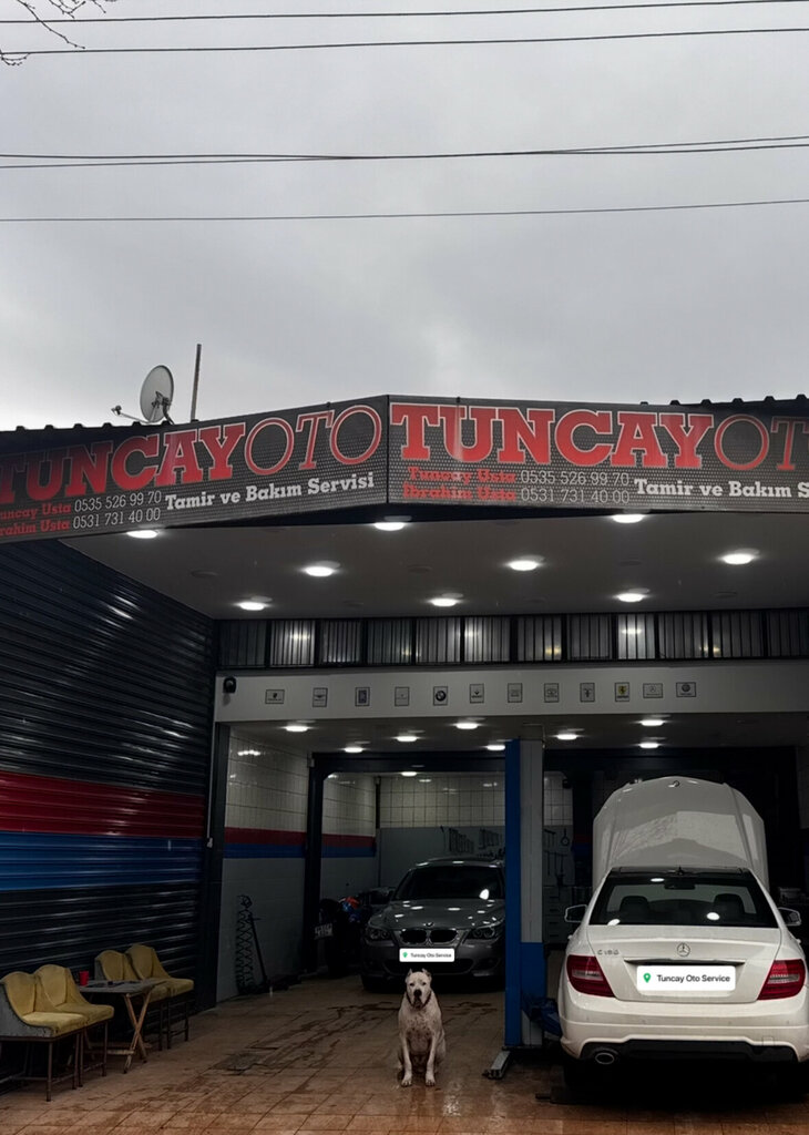 Otomobil servisi Tuncay Oto, İzmir, foto