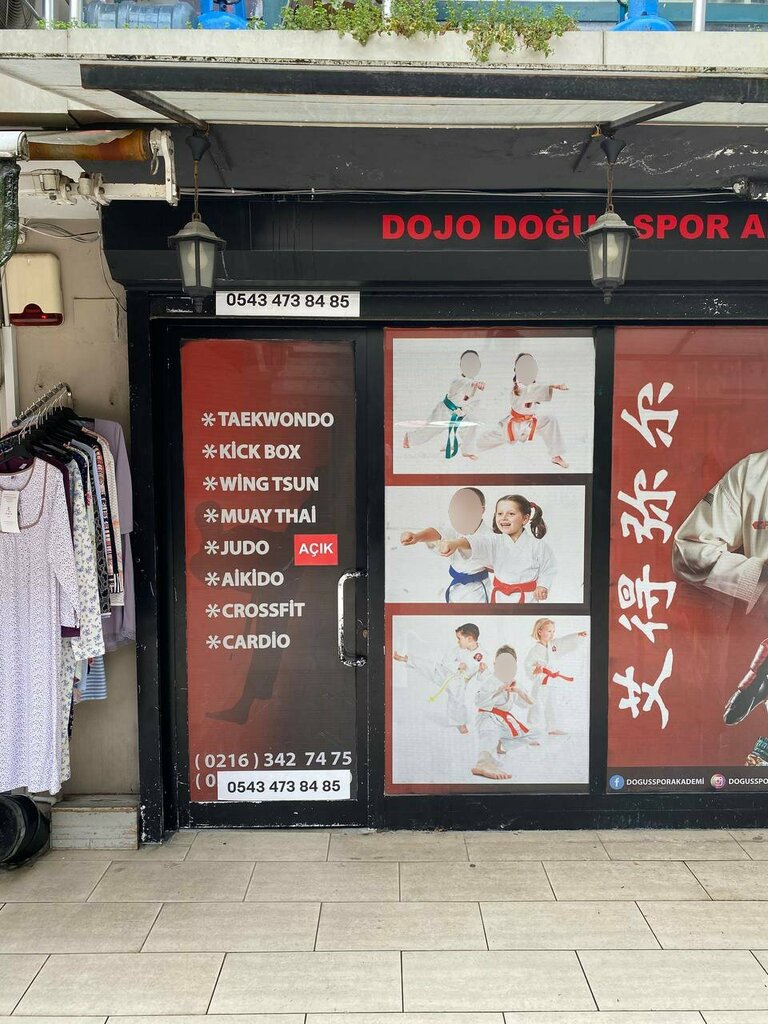 Spor kulüpleri Dojo Doğuş Spor Akademi, İstanbul, foto