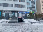 SunLive (Qordaı kóshesi No:85), finansal danışmanlık  Astana'dan