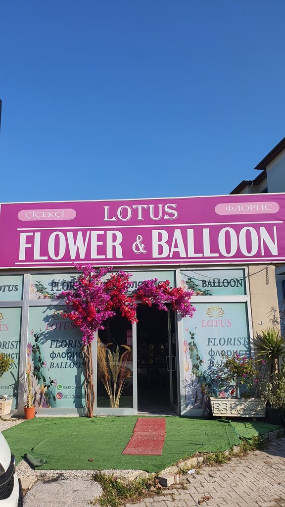 Çiçekçiler Lotus Florist, Serik, foto
