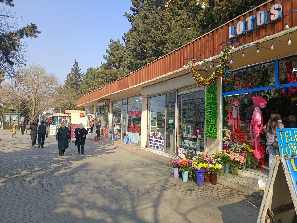 Optik Optika hippokrat, Bakü, foto
