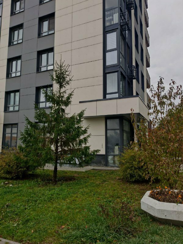 Mefruşat M. Nevolina studio, Moskova, foto