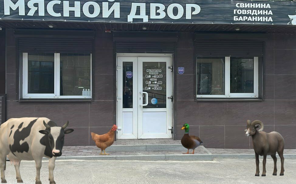 Kasap, şarküteri Мясной двор, Belaya Kalitva, foto
