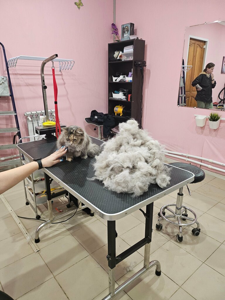 Evcil hayvan kuaförleri Груминг салон Zoo стиль, Konakovo, foto