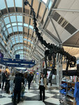 Chicago O'Hare International Airport (State of Illinois, Cook County, Chicago O'Hare International Airport), havaalanları  Chicago'dan