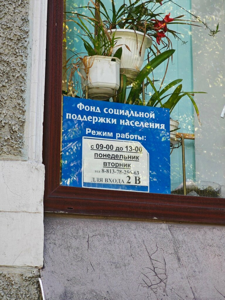 Sosyal yardım kuruluşları Фонд социальной поддержки населения, Vyborg, foto