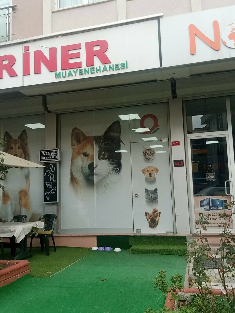 Veteriner klinikleri Bulgurlu Veteriner Kliniği, İstanbul, foto