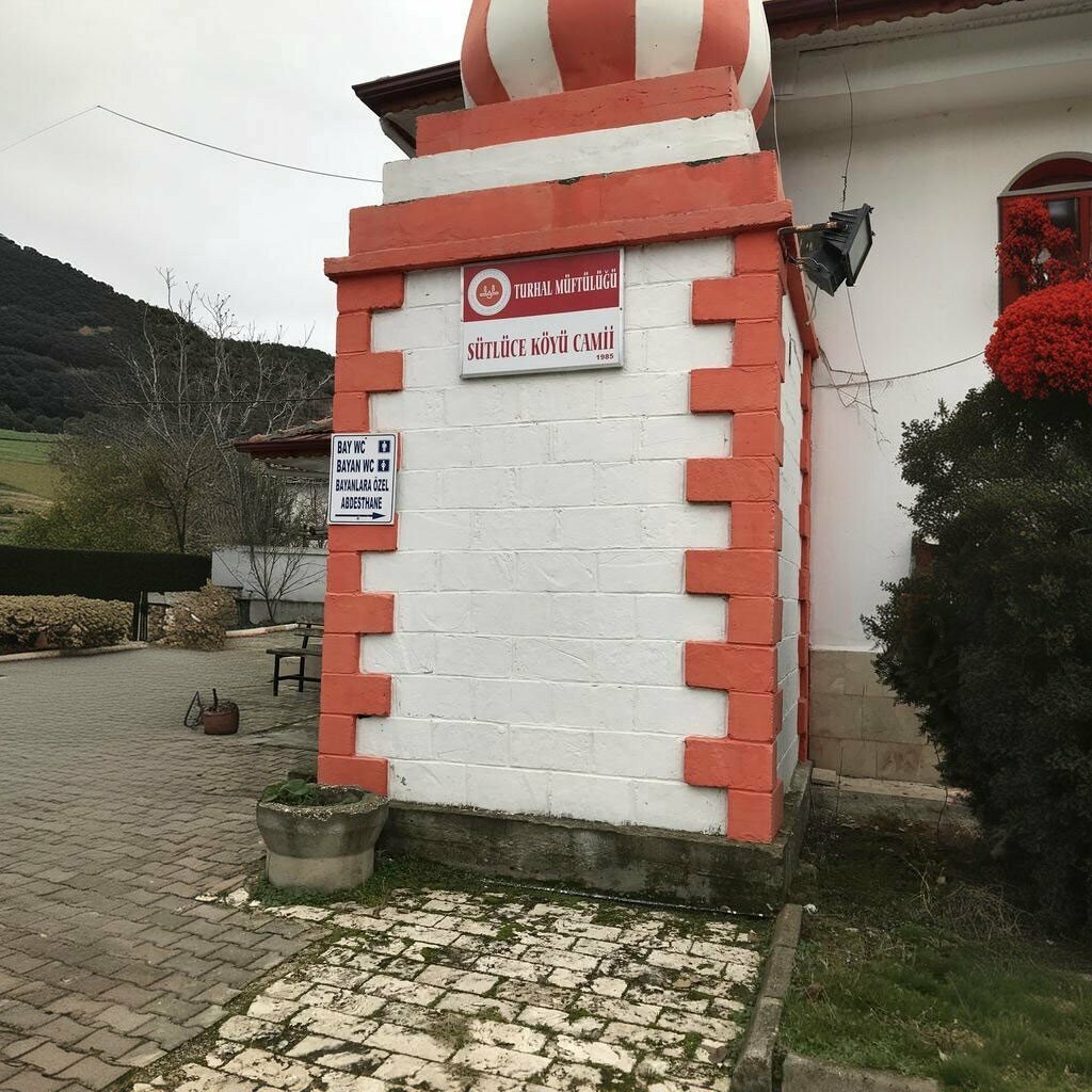 Cami Sütlüce Köyü Cami, Turhal, foto