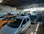 Urfa Cam Kriko Sunroof Kilit Servisi (Şanlıurfa, Eyyübiye, Kadıkendi Mah., Evren 18. Sok., 7), oto elektrik tamiri  Şanlıurfa'dan