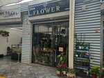 Şirin Flower (Antalya, Kepez, Fabrikalar Mah., Şehit Barış Akkabak Cad., 22), çiçekçiler  Antalya'dan