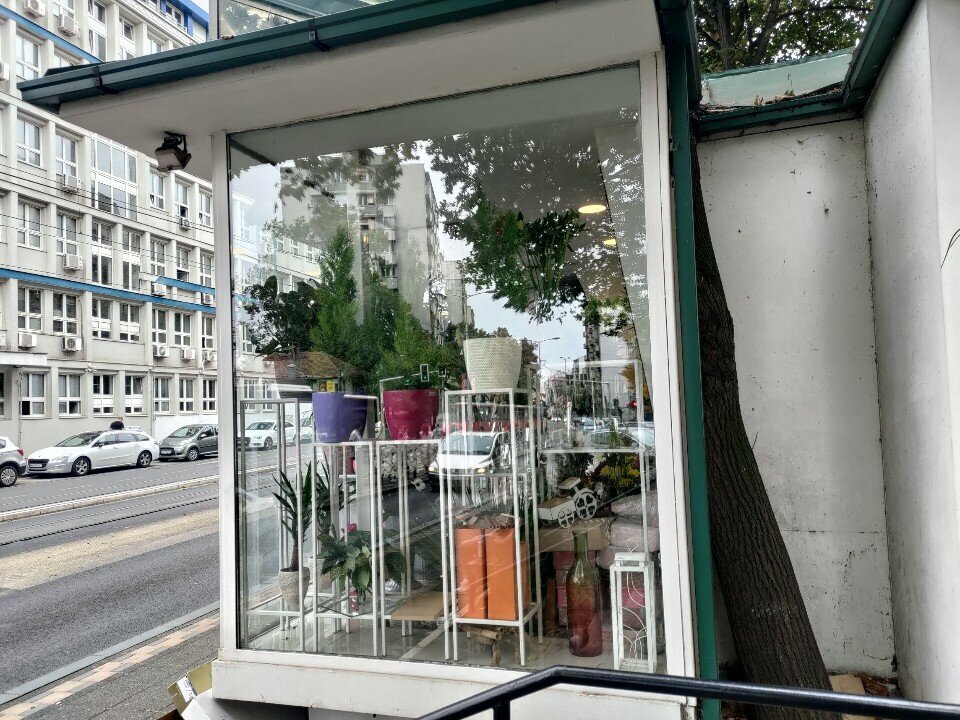 Çiçekçiler Butik cveća, Belgrad, foto
