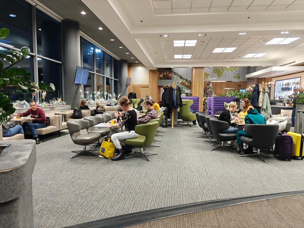Salonlar ve bekleme alanları S7 Business Hall, Moskova ve Moskovskaya oblastı, foto