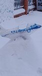 Motygino Airport (Privokzalnaya ulitsa No:2А, posyolok gorodskogo tipa Motygino), havaalanları  Krasnoyarski krayından