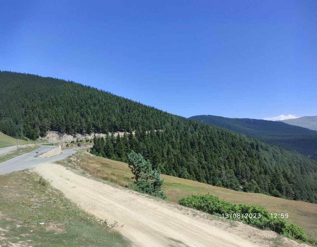 Turistik yerler Kümbet Yaylası, Dereli, foto