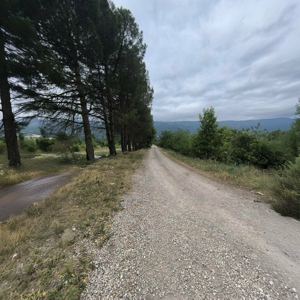 Muhtarlıklar Yarbaşı Köy Muhtarlığı, Niksar, foto