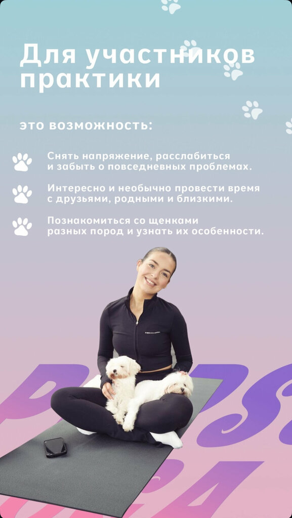 Yoga stüdyosu Pups & Yoga, Novosibirsk, foto