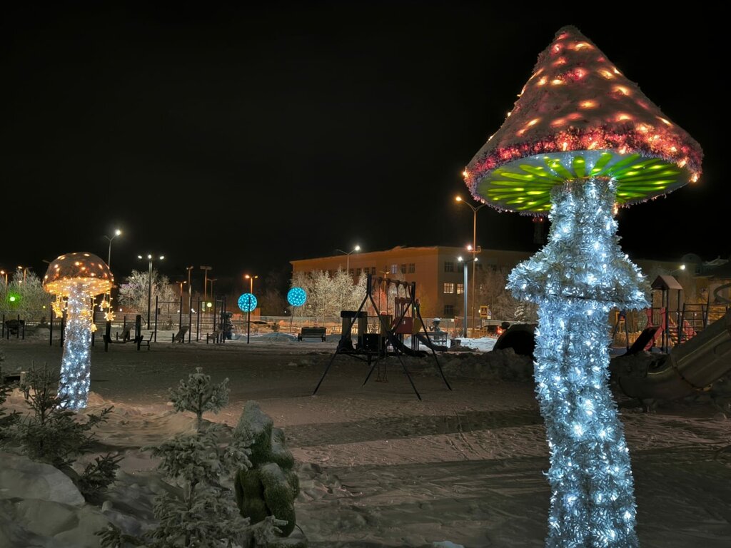 Oyun alanı Playground, Gubkinski, foto