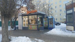 Robin Sdobin (Voronezh, Putilovskaya ulitsa), fast food  Voronej'den