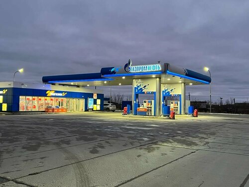 Benzin istasyonu Gazpromneft, Novy Urengoy, foto